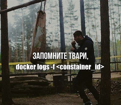 Сomics meme docker logs f comics meme