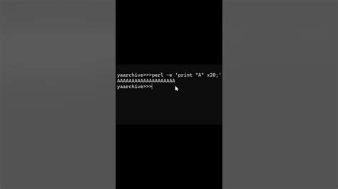 Buffer Overflows Using Perl On The Command Line Yaarchive Whatthehack