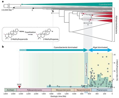 Tricorder Tech Genetic Methods Enable The Use Of Fossil Lipids As Biomarkers For Oxygen
