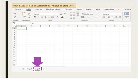 Microsoft Excel Slide Set