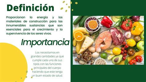 Solution Los Macronutrientes Studypool