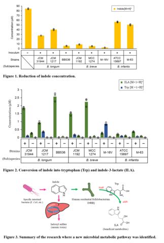 Morinaga Milk的突破性新研究證明了其人源雙歧桿菌hrb菌株在代謝腸道毒素前體方面的優越性 Business Wire