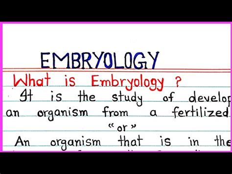 Embryology Meaning The Germline Origin Of The Germ Cells