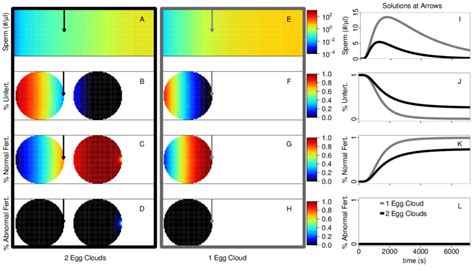 Figure D 1 Animated Simulation Of The Reaction Diffusion Equations In