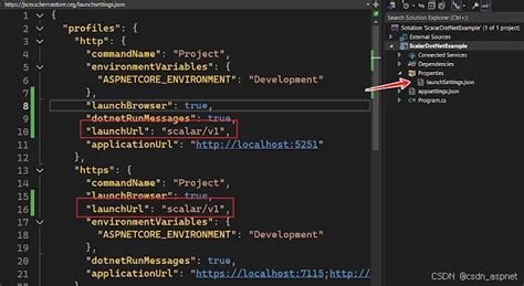 在 Net 90 Web Api 中实现 Scalar 接口文档及jwt集成scalar 文档 Csdn博客