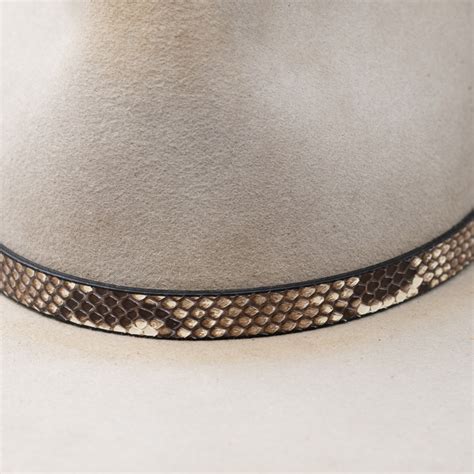 Python Hat Band