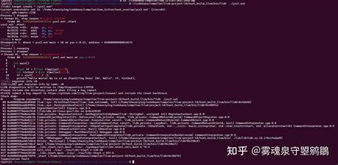 如何用lldb去debug Lldb？ 知乎