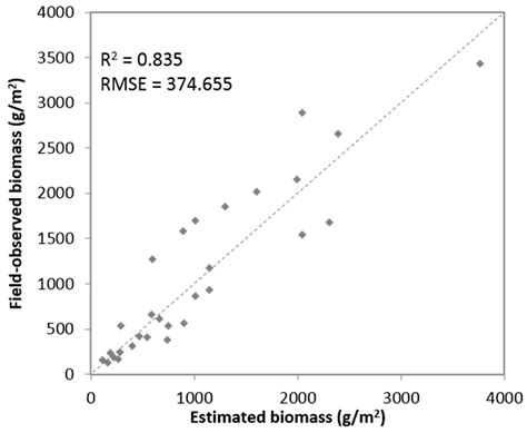 Remote Sensing Free Full Text Estimating The Biomass Of Maize With
