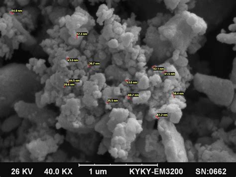 Sem Image Of Functionalized Mnps Download Scientific Diagram