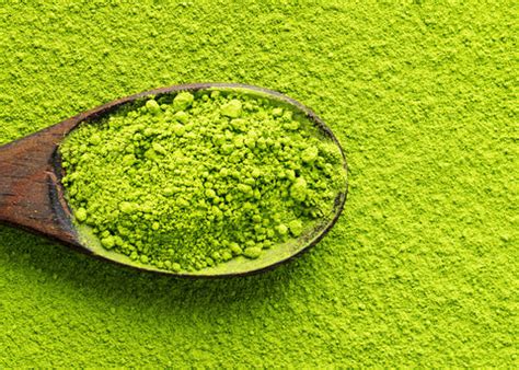 What is Matcha and Why is it so Popular?