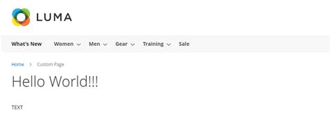 How To Create Custom Page In Magento Programmatically