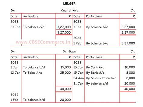 Dk Goel Solutions Q 12 Chapter 13 Ledger Class 11 Cbse 2023 24 Cbse