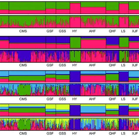 Estimated Population Genetic Structure K5 Download Scientific Diagram