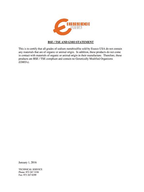 Bse Tse Statement Example Fill Online Printable Fillable Blank Pdffiller