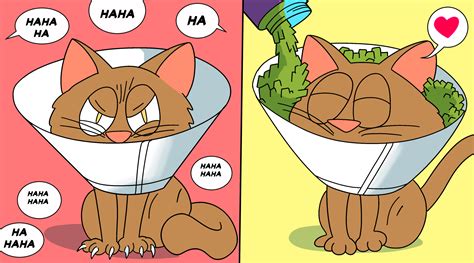 Does Catnip Calm Cats Cat Crack Catnip