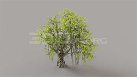 9442 Free 3ds Max Tree Model Download