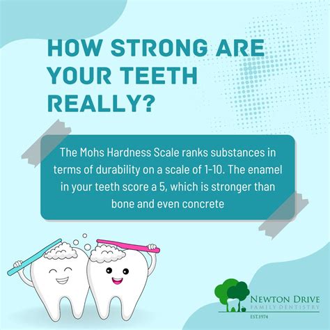 Newton How Strong Are Your Teeth Really The Mohs Hardness Scale Ranks Substances In Terms Of