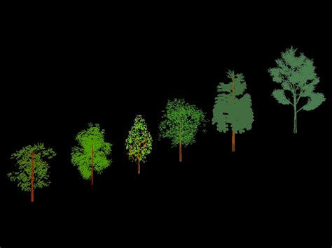 3d Trees In Autocad Download Cad Free 464 Mb Bibliocad
