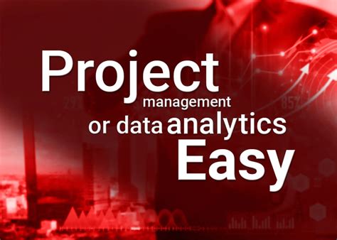 Project Management Or Data Analytics Pmo Global Institute
