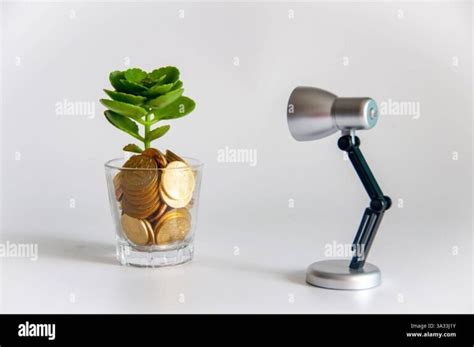 Qual È La Differenza Tra Bic Code E Swift Code Nelle Banche