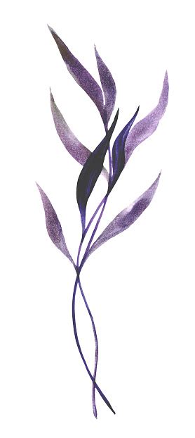 2022 년 매우 페리의 트렌디 한 색상으로 착색 잎 수채화 분기 상단 일러스트레이션 0명에 대한 스톡 벡터 아트 및 기타 이미지 0명 2022년 개념 Istock