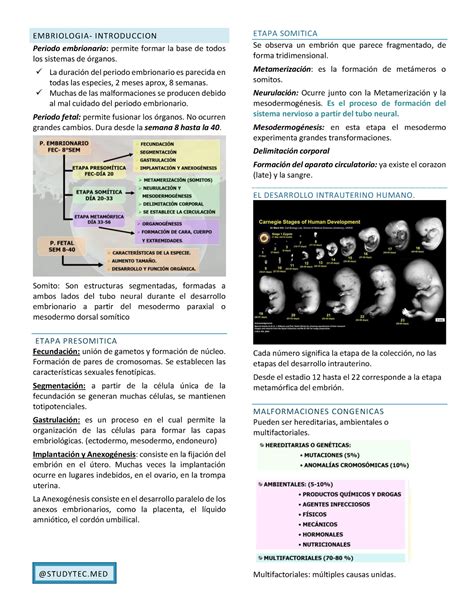 Embriologia Embri Ol Ogi A I N Trodu C C I On Periodo Embrionario