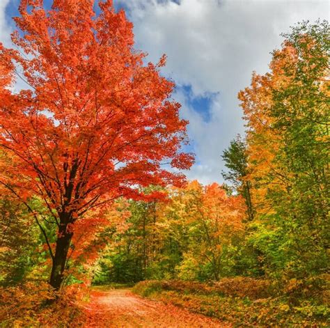 9 Amazing Places To See Fall Colors In Michigan