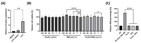 Synergistic Effect Of Sio2 And Fe3o4 Nanoparticles In Autophagy Modulation