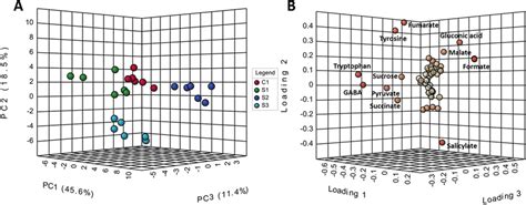 principle component analysis pca score plot a and loading plot b