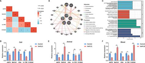 Identification And Validation Of Hub Immune Related Genes Ijgm