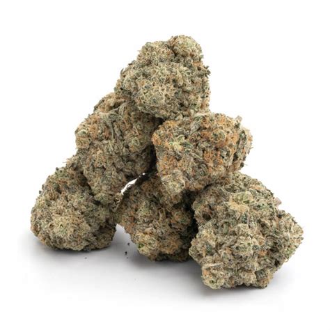 Buy Thin Mint Cookies Strain Online Germany Dutch Weed Dispensary