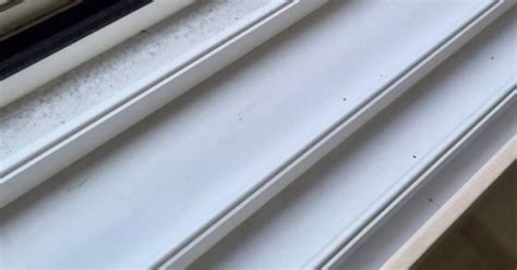 12평정도의 집에 입주청소를 맡겼습니다 예상4시간정도를 안내받았는데 2시간정도에 빠르게 끝났습니다 3명이 오셨고 문위나 서랍안까지 꼼꼼히 해주셨습니다 좋았던건 청소진행중