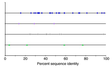 Percent Of Sequence Identity Between The 41 Duplicated Protein Pairs