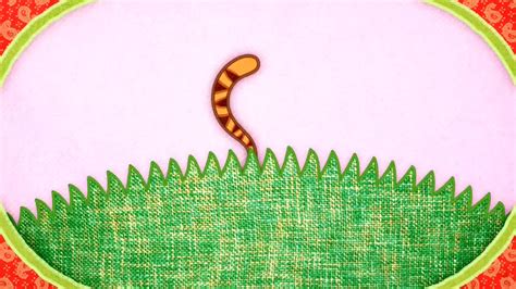 Patchwork Pals Fun With Tiger And Friends Tiktok