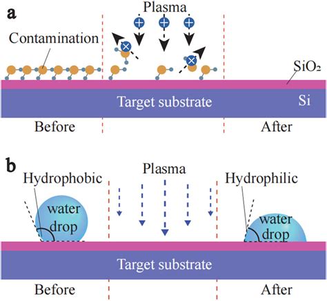 Pre Cleaning By Plasma Before The Transfer Process A A Plasma