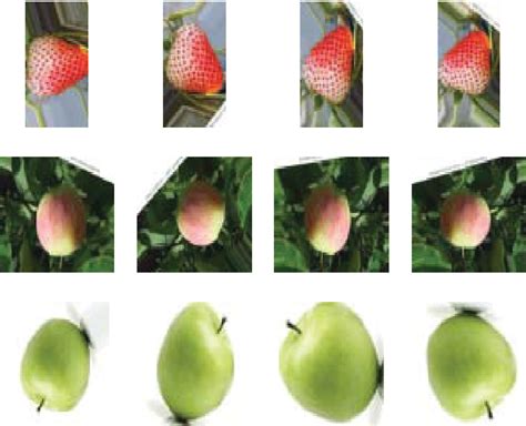 Figure 2 From Classification Of Fruit Ripeness Grades Using A Convolutional Neural Network And