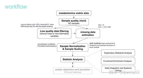 代谢物组数据分析 基础流程metabolomics Analysis 知乎