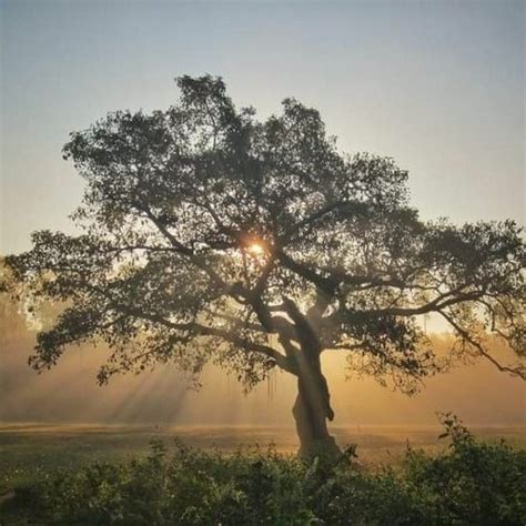 Stream Durood E Walifriday Darood By Yeaklima Munny Listen Online