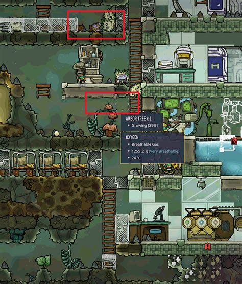 Do Topmost Branches Of Arbor Tree Are Counted As Separate Plants And Block Pips Planting Its