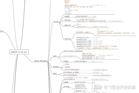10分钟简单速成python 知乎