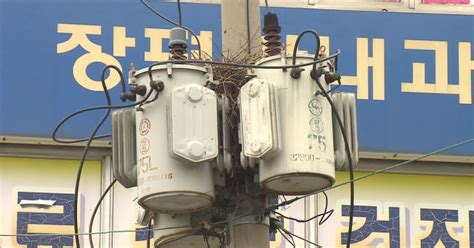 전신주 까치집 제거하려다 감전50대 숨져