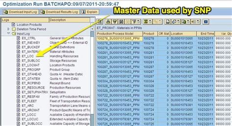 How To Use The SAP SNP Optimizer Log For Analysis Brightwork Research Analysis