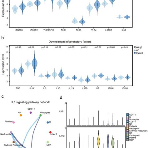 Predicted Receptor Mediated Pro Inflammatory Pathways And Download
