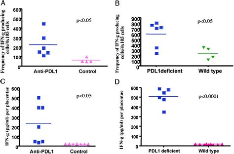 Expansion Of Th1 Cells In Spleen And Placenta Of Antipdl1 Treated And