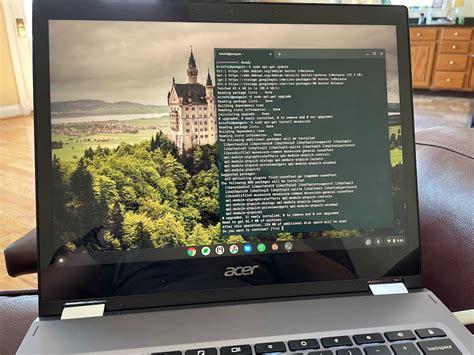 Poll Are You Using Linux On Your Chromebook