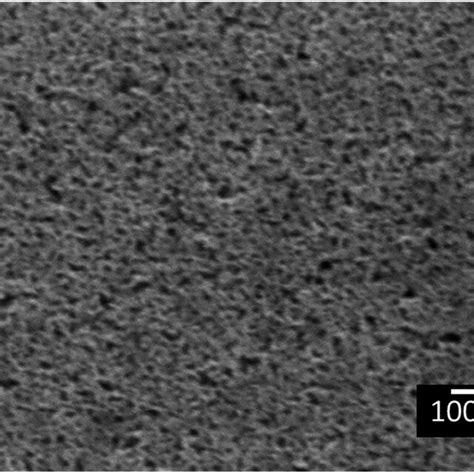Sem Micrograph Of Tgl Ti6al4v Modified Surface Download Scientific Diagram