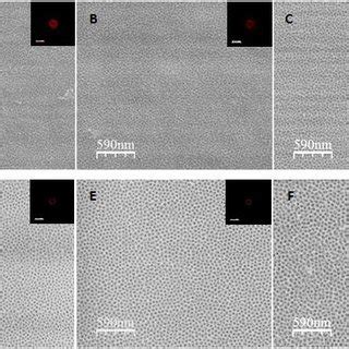 Top View FE SEM Images And Fast Fourier Transform FFT Right Hand Download Scientific Diagram