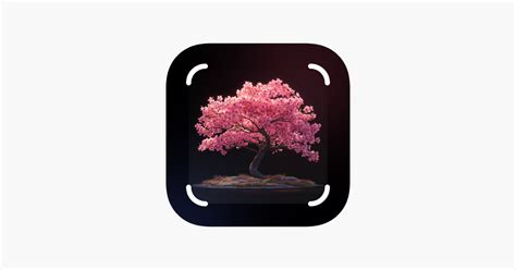 ‎tree Identifier My Nature Id On The App Store