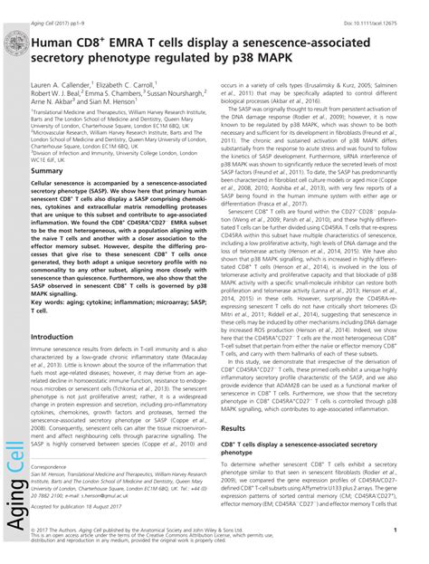 Pdf Human Cd8 Emra T Cells Display A Senescence Associated