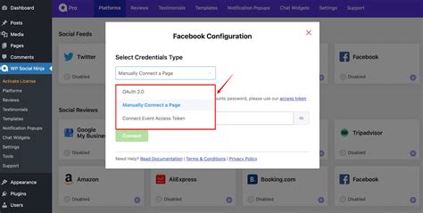 Connecting A Facebook Page Using Access Token Social Feed WP Social Ninja